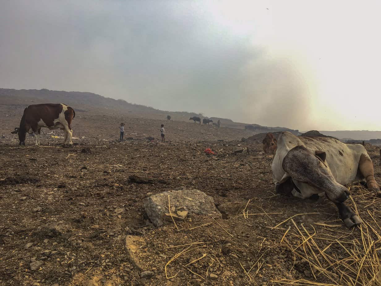 Is the waste-to-energy plant in Deonar a good idea? - Citizen Matters