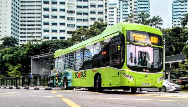 MTC buses and disability access – a route to nowhere