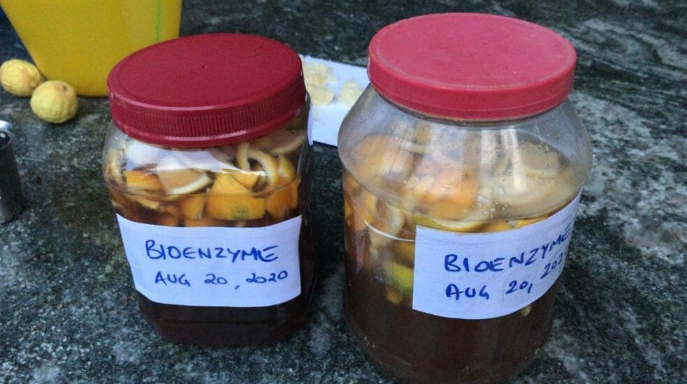 How can Chennaiites switch to bio enzymes for cleaning needs? - Citizen ...