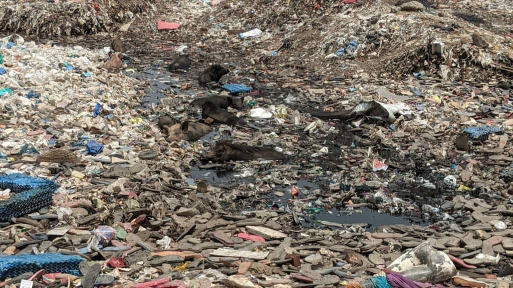 Ecological damage, land lost: The cost of Delhi’s toxic landfills ...